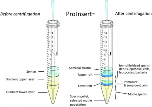 Using ProInsert for viscous samples - Tek-Event